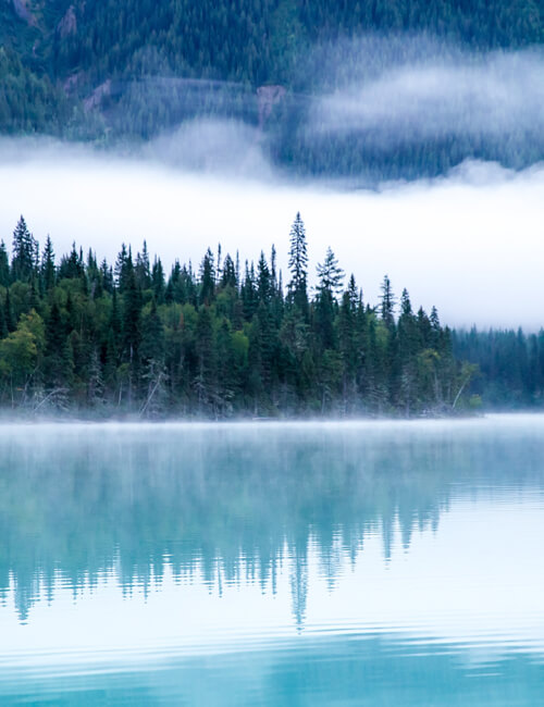 Techwind - Multipurpose App, Saas & Software Landing & Admin Dashboard Template