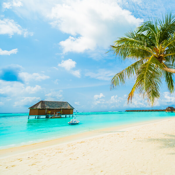 Techwind Multipurpose App Saas And Software Landing And Admin Dashboard Template